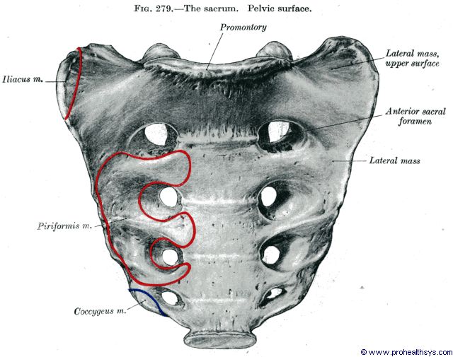 Cindy and Brandy-spine